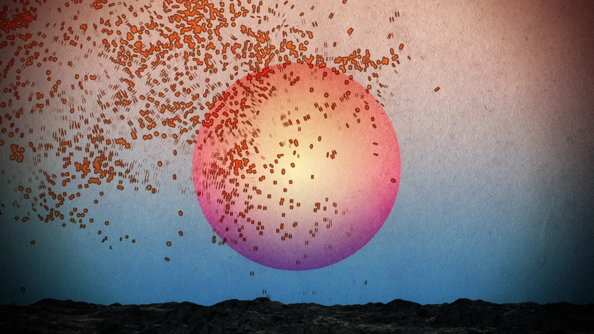 Nico & Vince | VT Pro Design | Tour Visuals